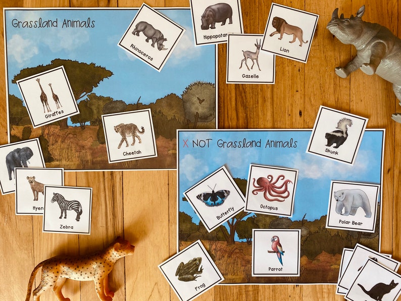 Grassland Animals Unit: Science Pack | Etsy