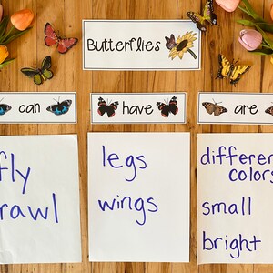 Butterfly Unit: Science Pack - Etsy