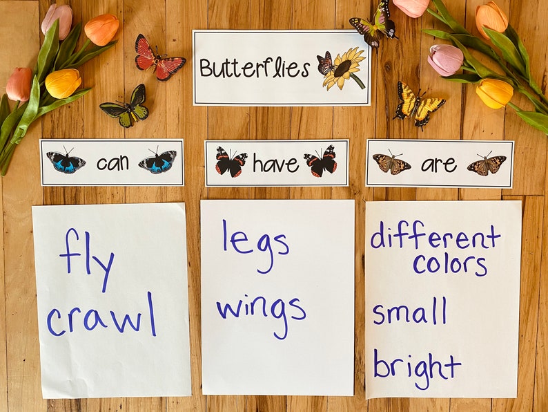 Butterfly Unit: Science Pack - Etsy