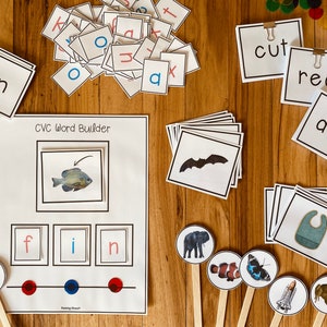 Literacy Learning Pack CVC Words Beginning Phonics - Etsy