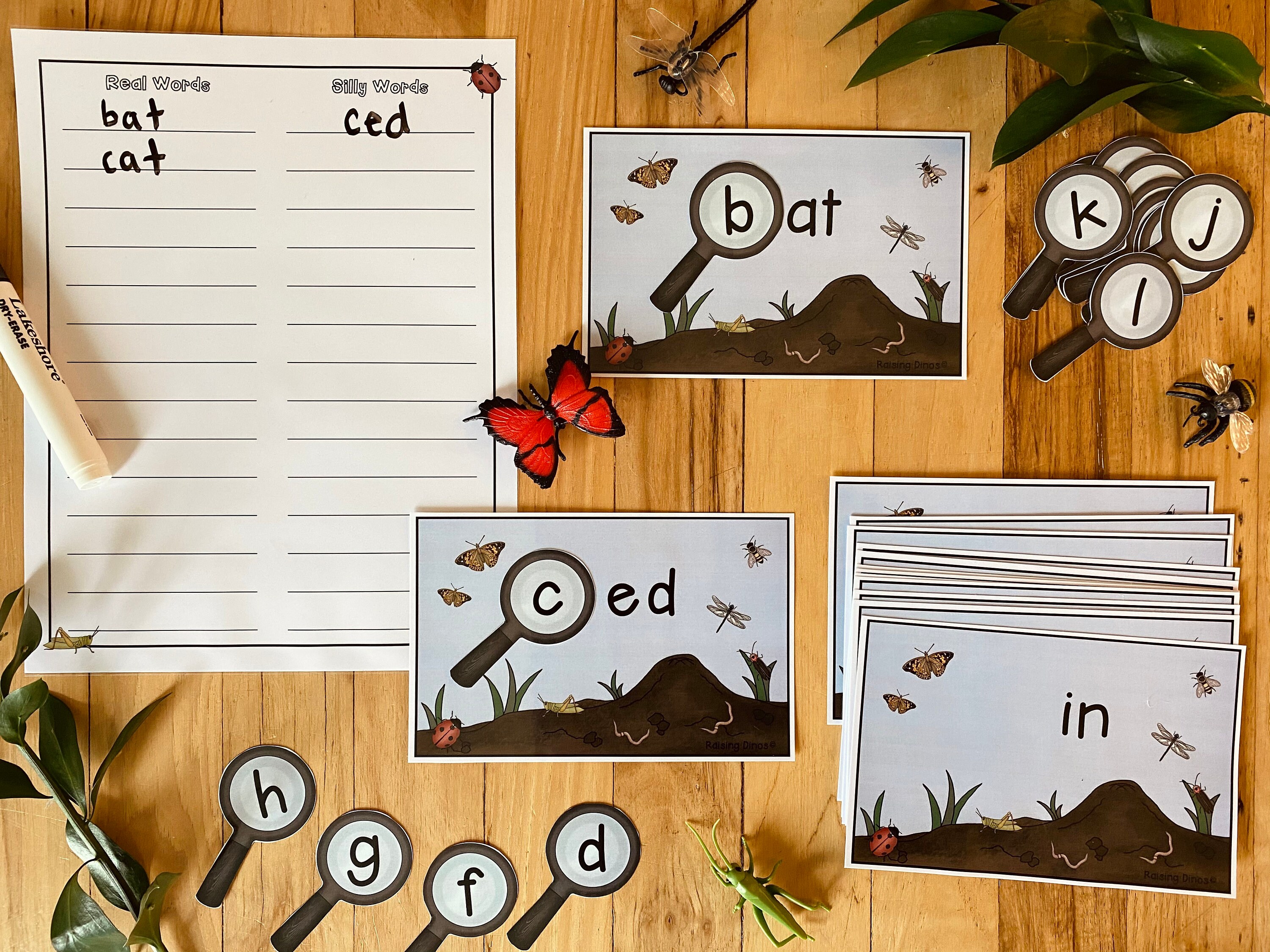 Bug Unit: Literacy Pack | Etsy