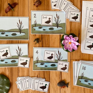 Pond Unit: Math Pack - Etsy