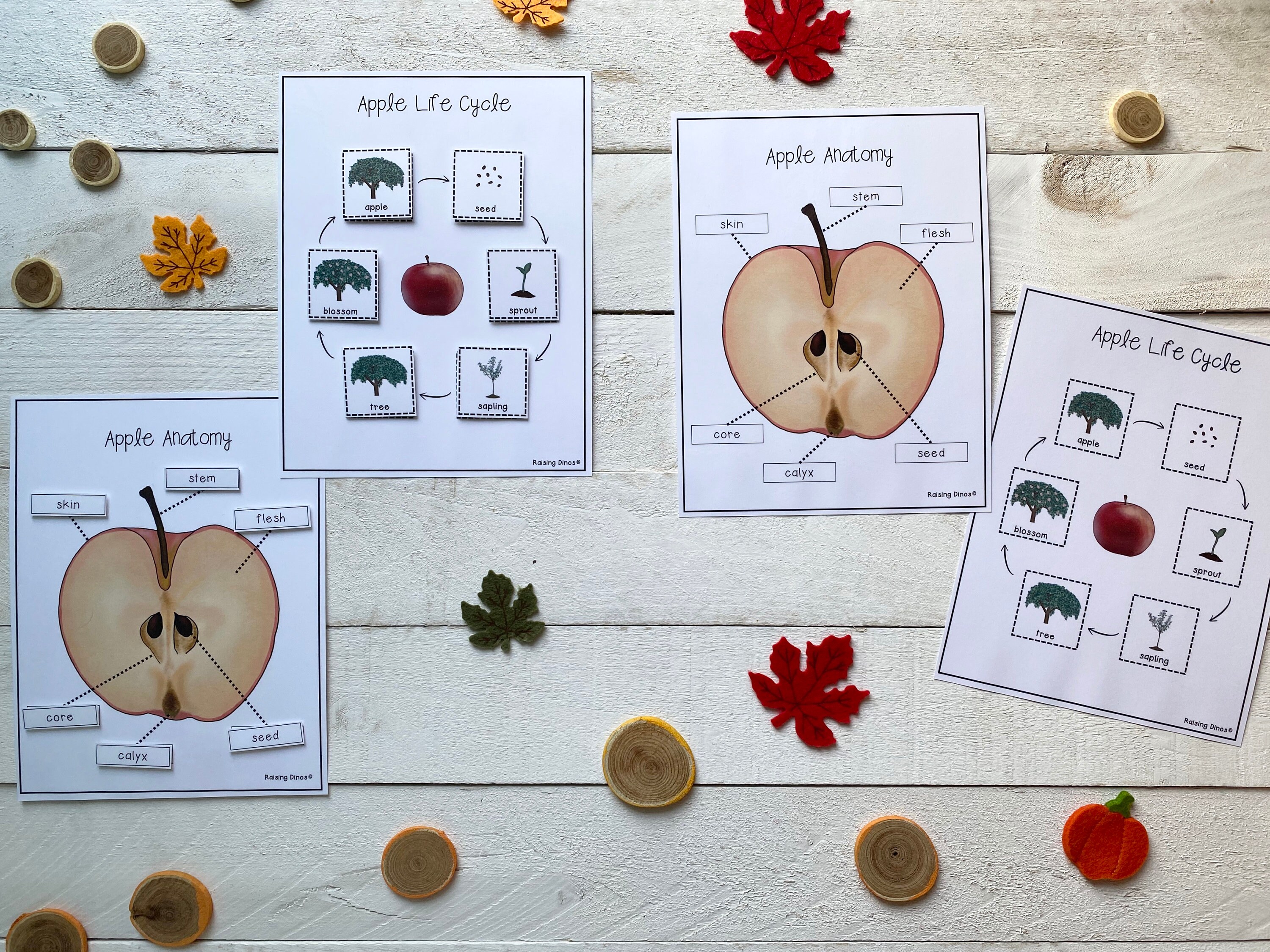Fall Unit: Science Pack - Etsy