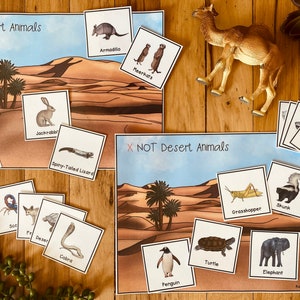 Desert Unit: Science Pack - Etsy