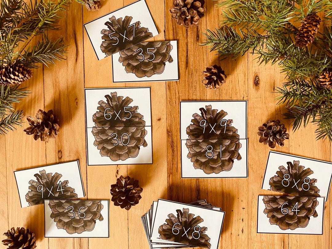 Multiplication Pinecones - Etsy