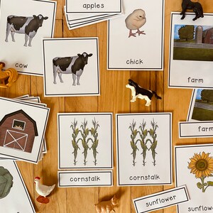 Farm Unit: Science Pack - Etsy