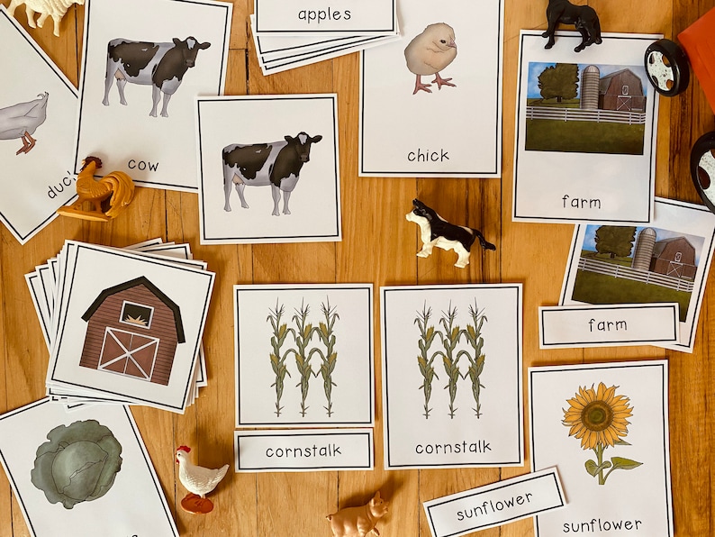 Farm Unit: Science Pack - Etsy