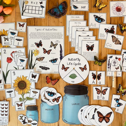 Butterfly Unit Study Learning Bundle Butterfly Life Cycle - Etsy