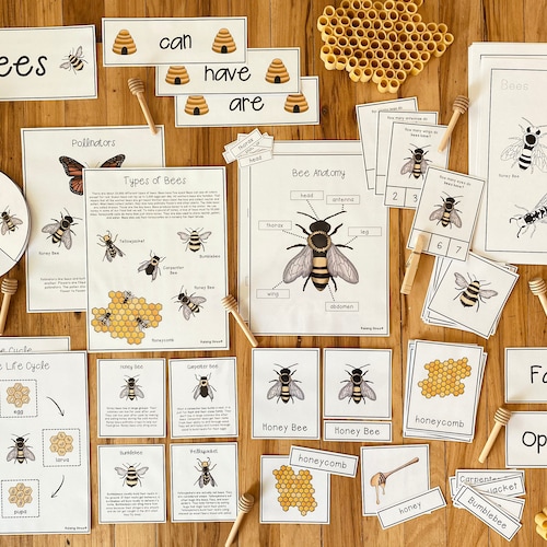 Bee Activity Pack Bee Printable for Pre-k Science Preschool - Etsy