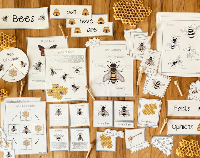 Honey Bee Bundle | Nature Study Charlotte Mason Homeschool Printable ...