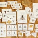 Bee Unit: Science Pack - Etsy