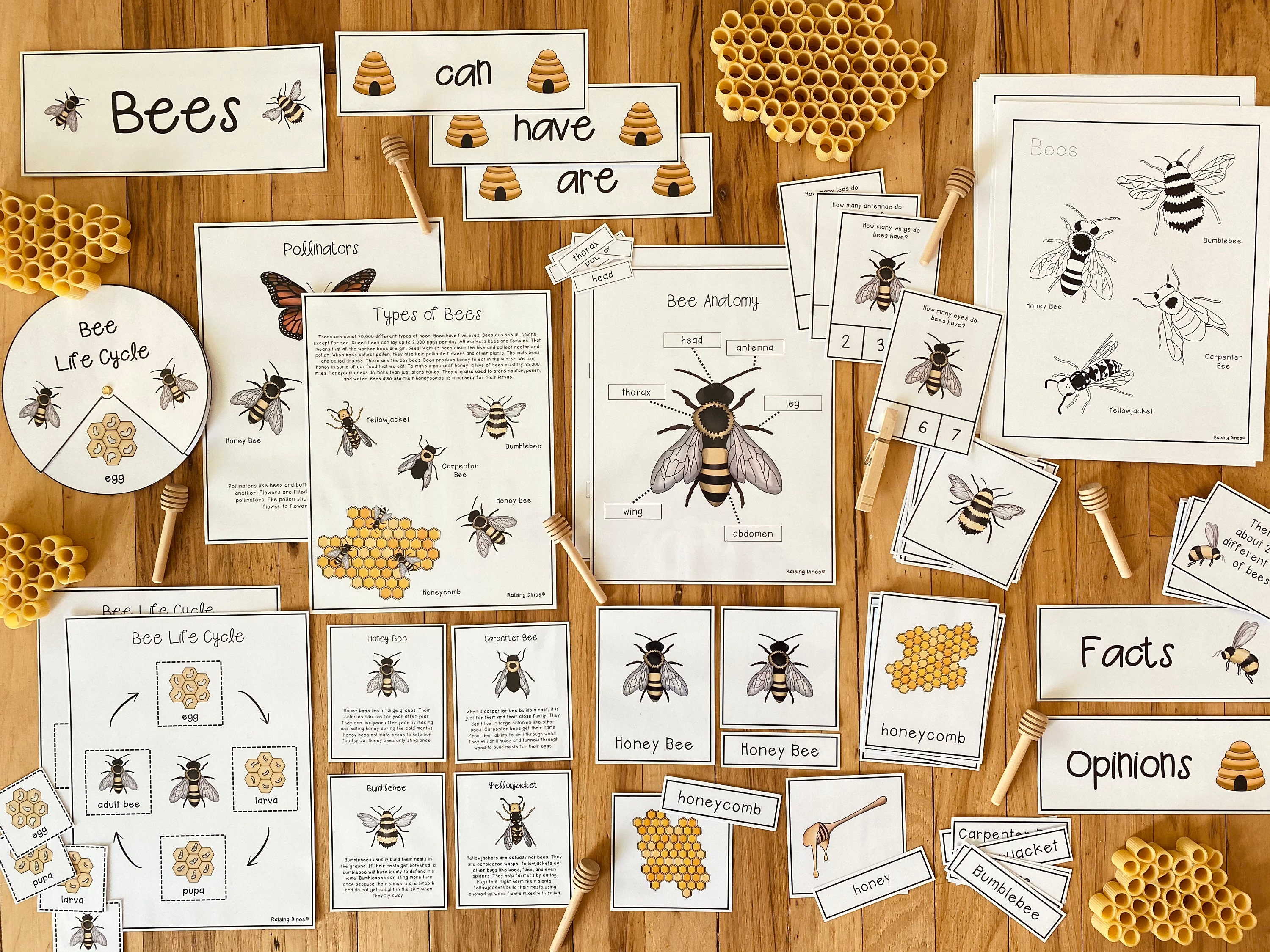Bee Unit: Science Pack - Etsy
