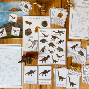 Dinosaur Unit Bundle - Etsy