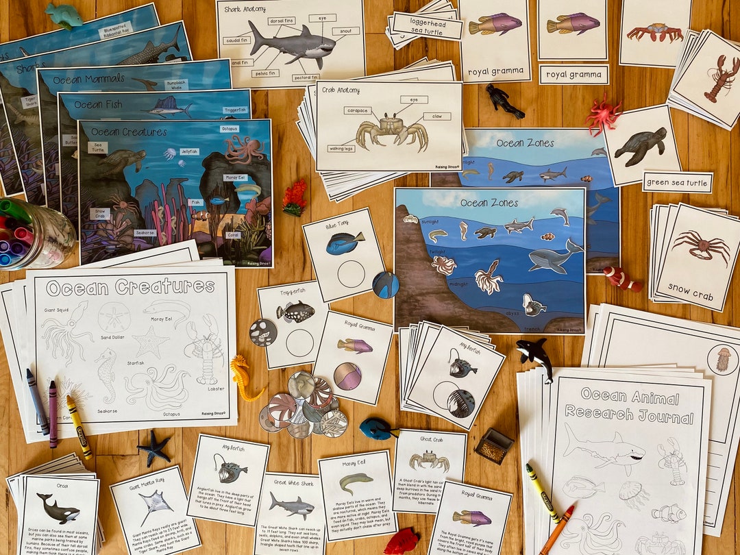 Ocean Unit: Science Pack - Etsy