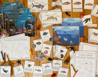 Ocean Biome/habitat Printable Preschool Activity for Busy Book PRE-K ...