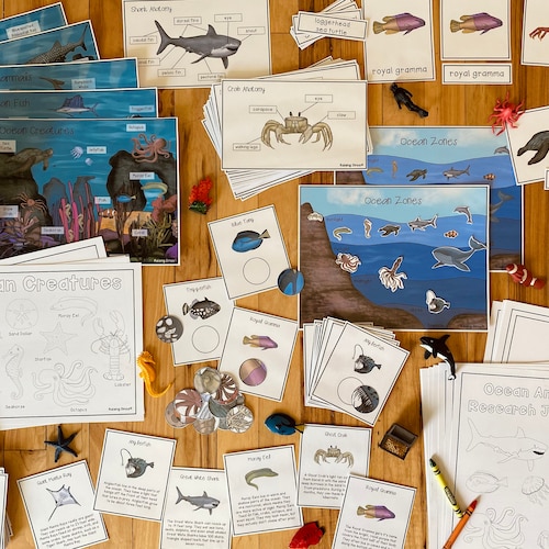 Bug Unit: Science Pack - Etsy