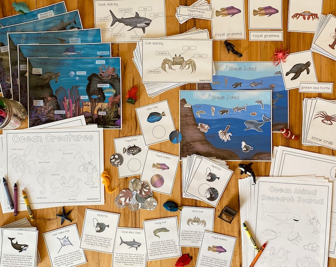 Ocean Layers Printable, Ocean Zones, Pelagic Zones, Learn About the ...