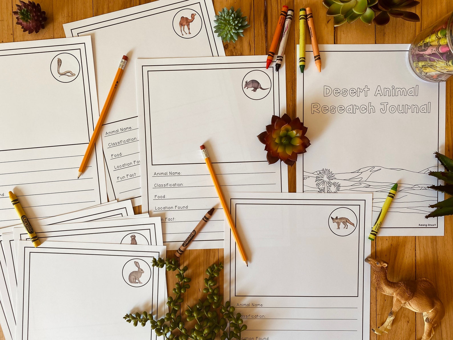 Desert Unit: Science Pack - Etsy