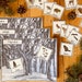 Winter Forest Unit: Science Pack - Etsy