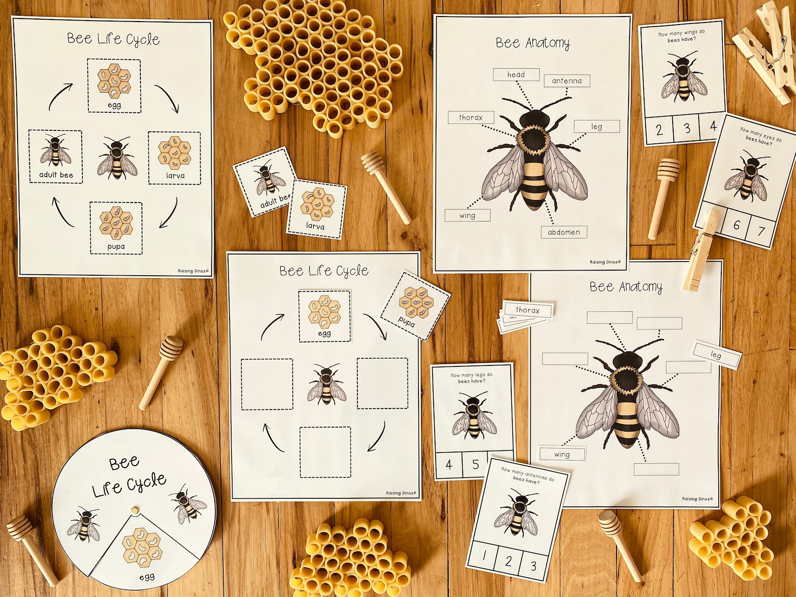 Bee Unit: Science Pack - Etsy