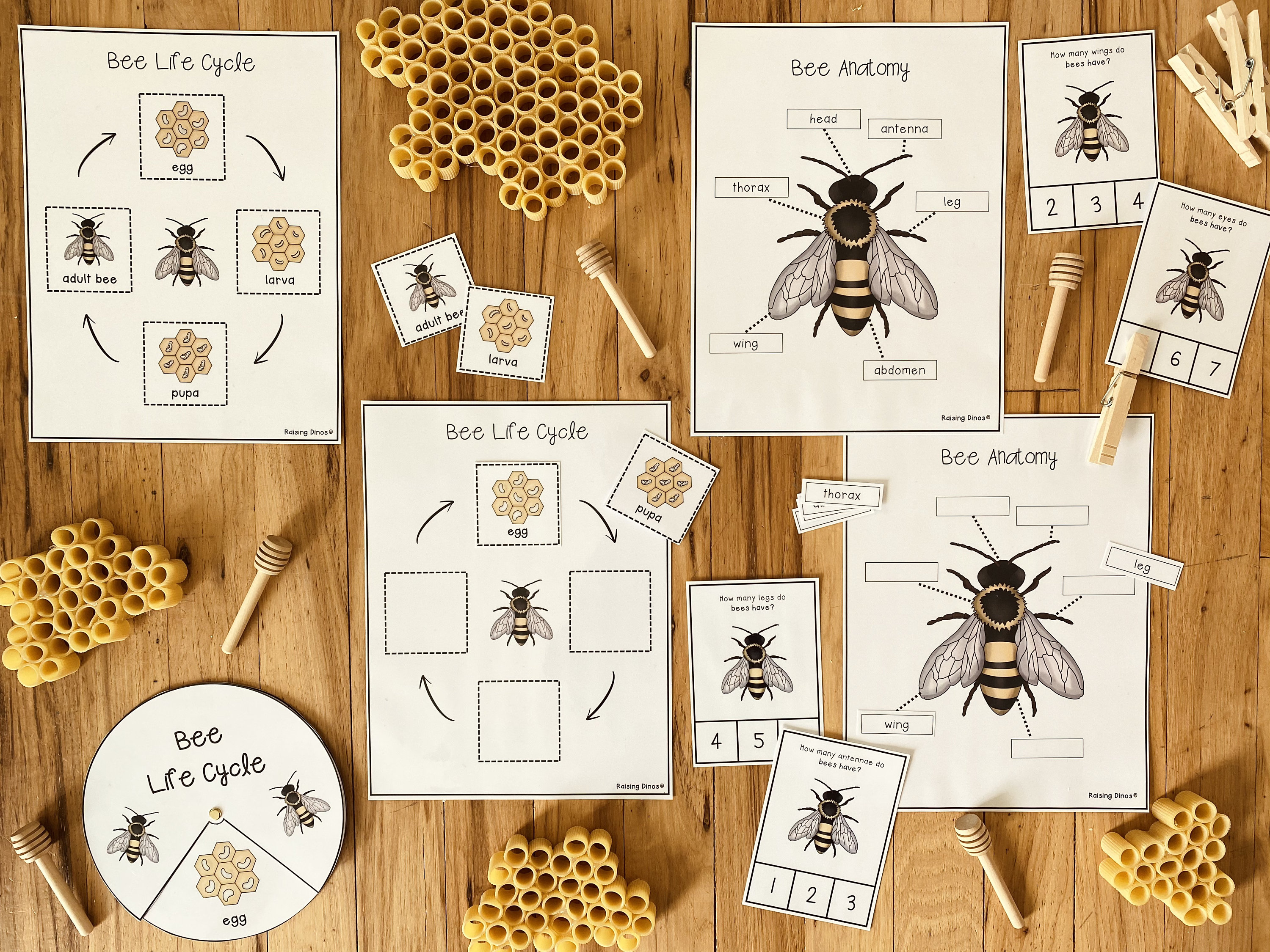 Bee Unit: Science Pack - Etsy
