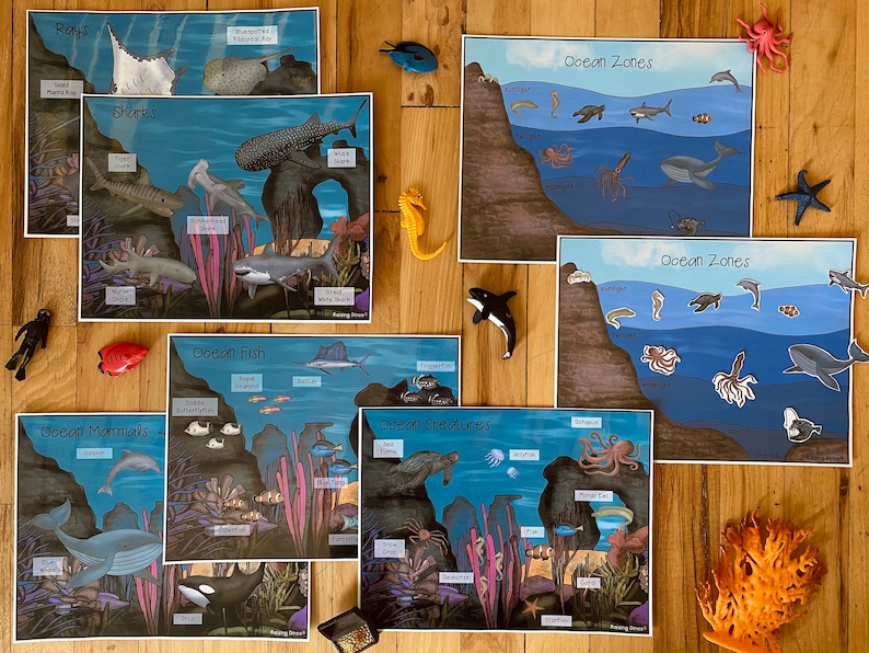 Ocean Unit Bundle - Etsy