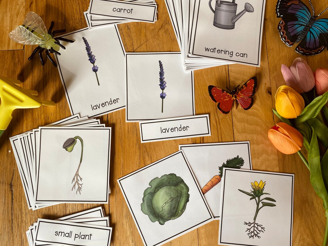 Garden Unit: Science Pack - Etsy