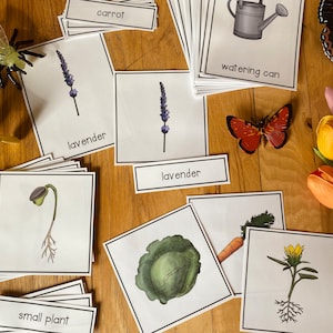 Garden Unit: Science Pack - Etsy