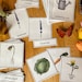 Garden Unit: Science Pack - Etsy