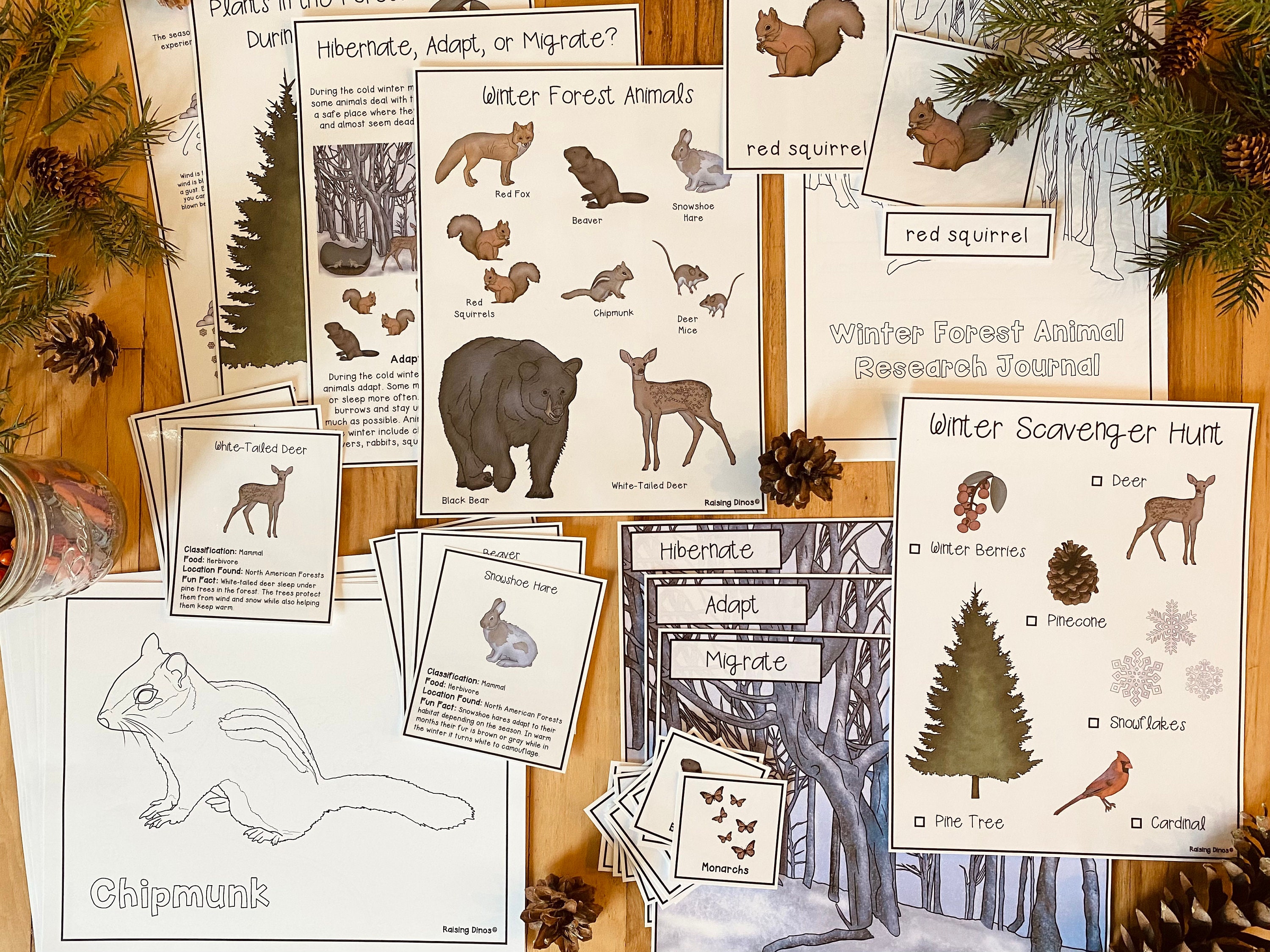 Winter Forest Unit: Science Pack - Etsy