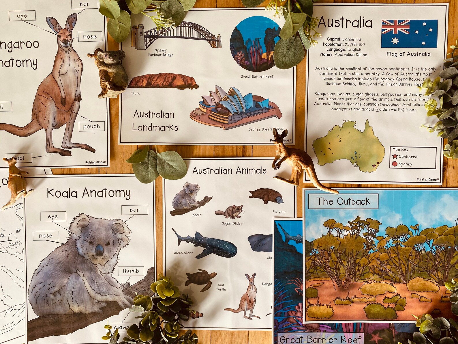 Australia Mini Study - Etsy