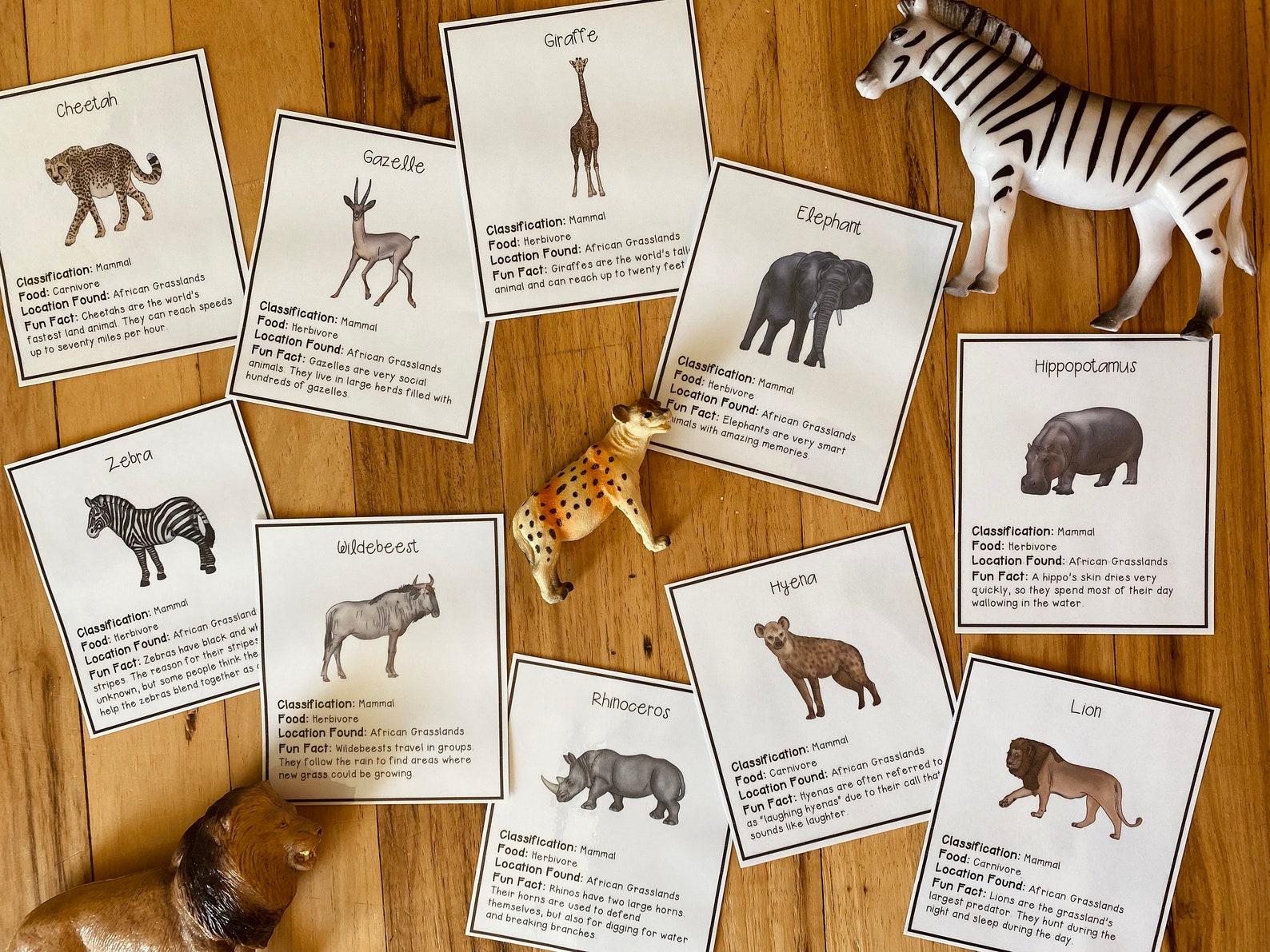 Grassland Animals Unit: Science Pack | Etsy