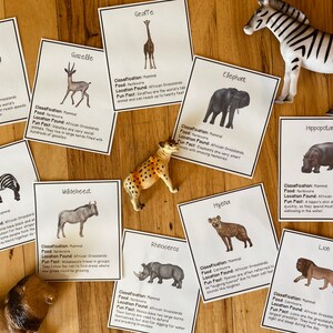 Grassland Animals Unit: Science Pack - Etsy