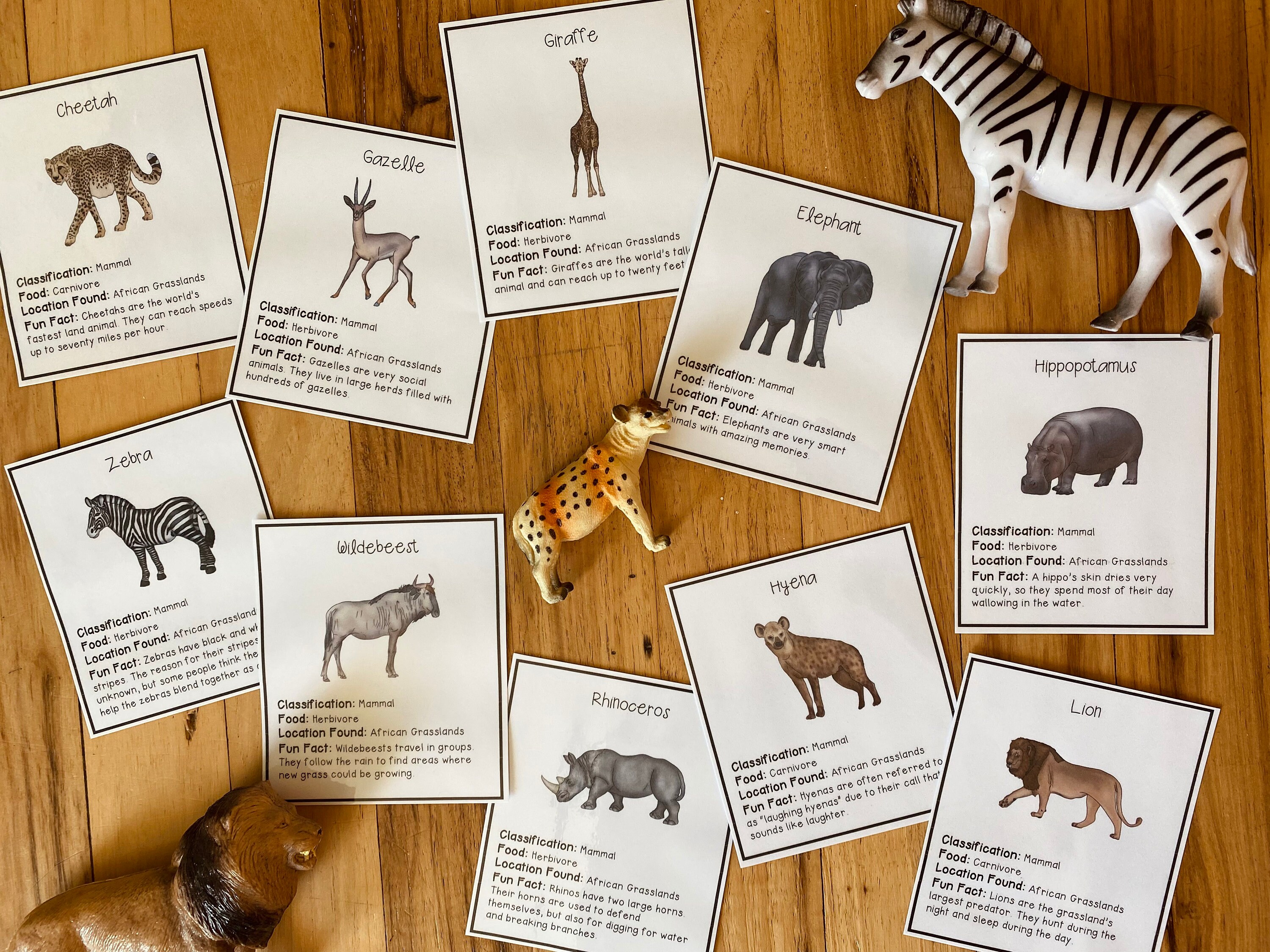 Grassland Animals Unit: Science Pack | Etsy