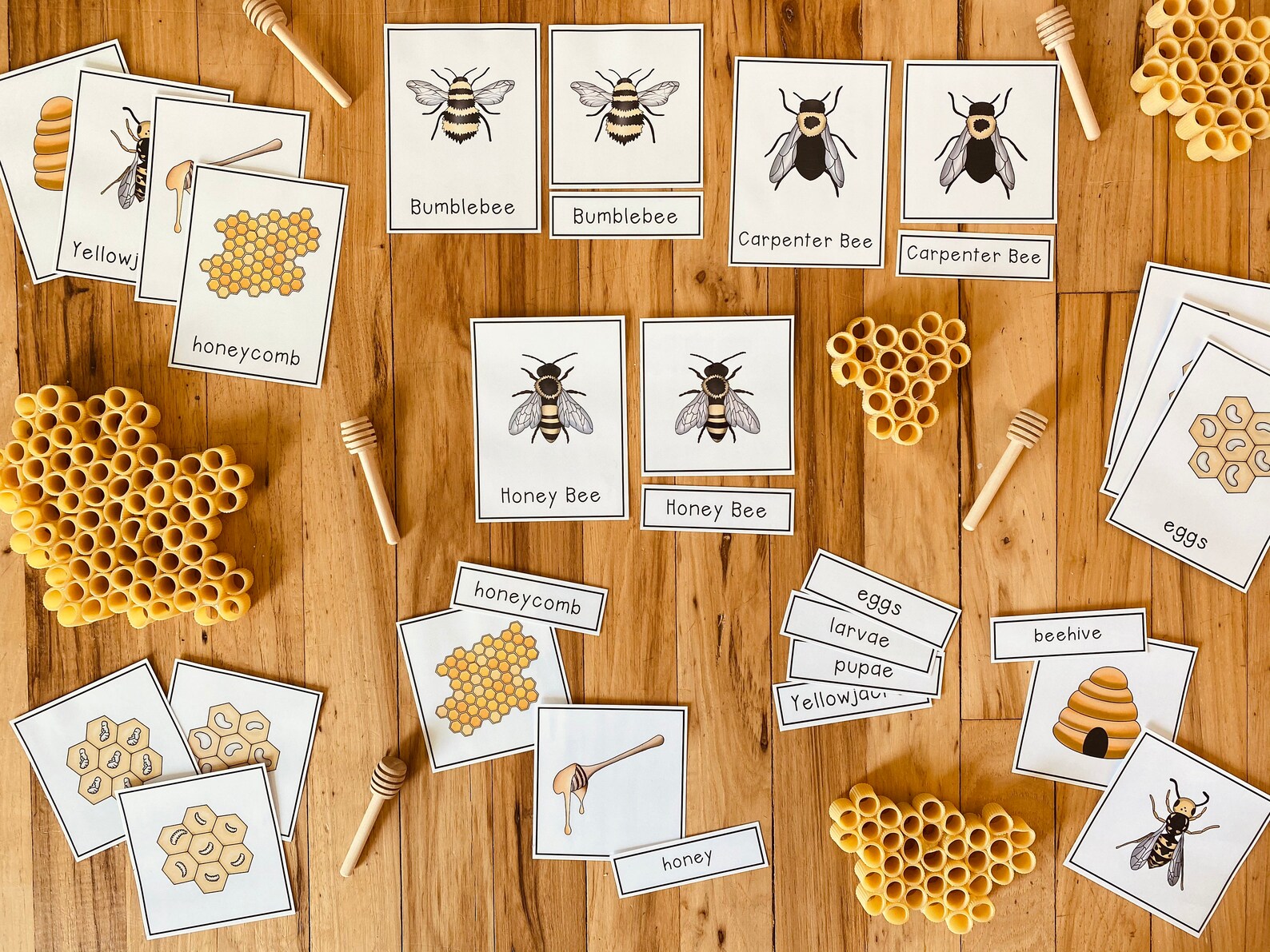 Bee Unit: Science Pack - Etsy
