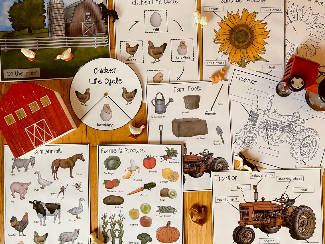Farm Unit: Science Pack - Etsy