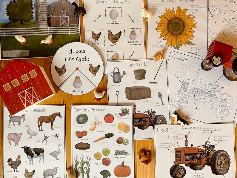 Farm Unit: Science Pack | Etsy