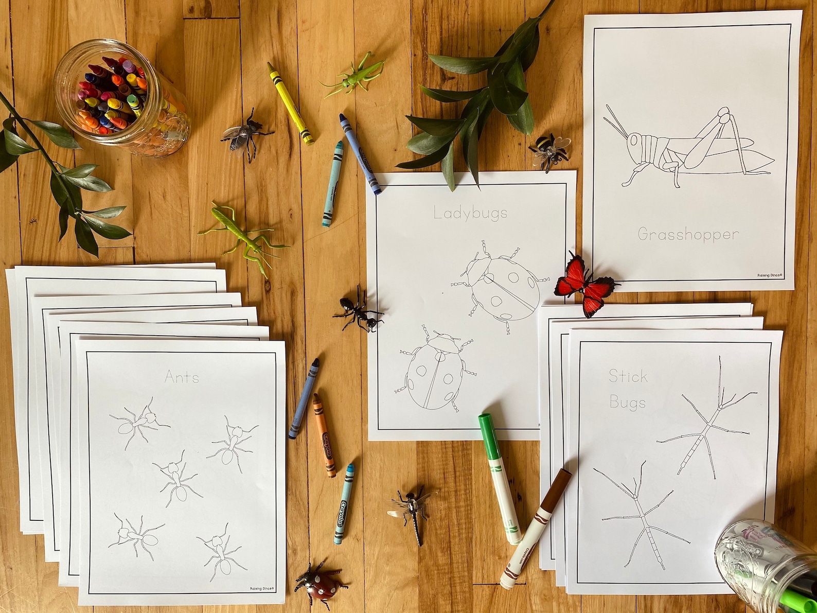 Bug Unit: Science Pack - Etsy