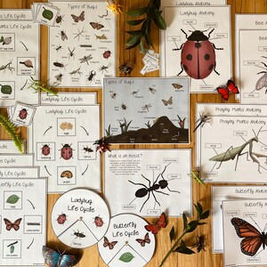 Bug Unit: Science Pack - Etsy