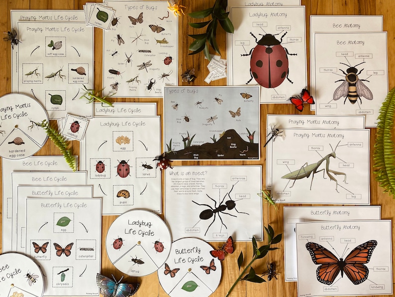 Bug Unit: Science Pack - Etsy Canada