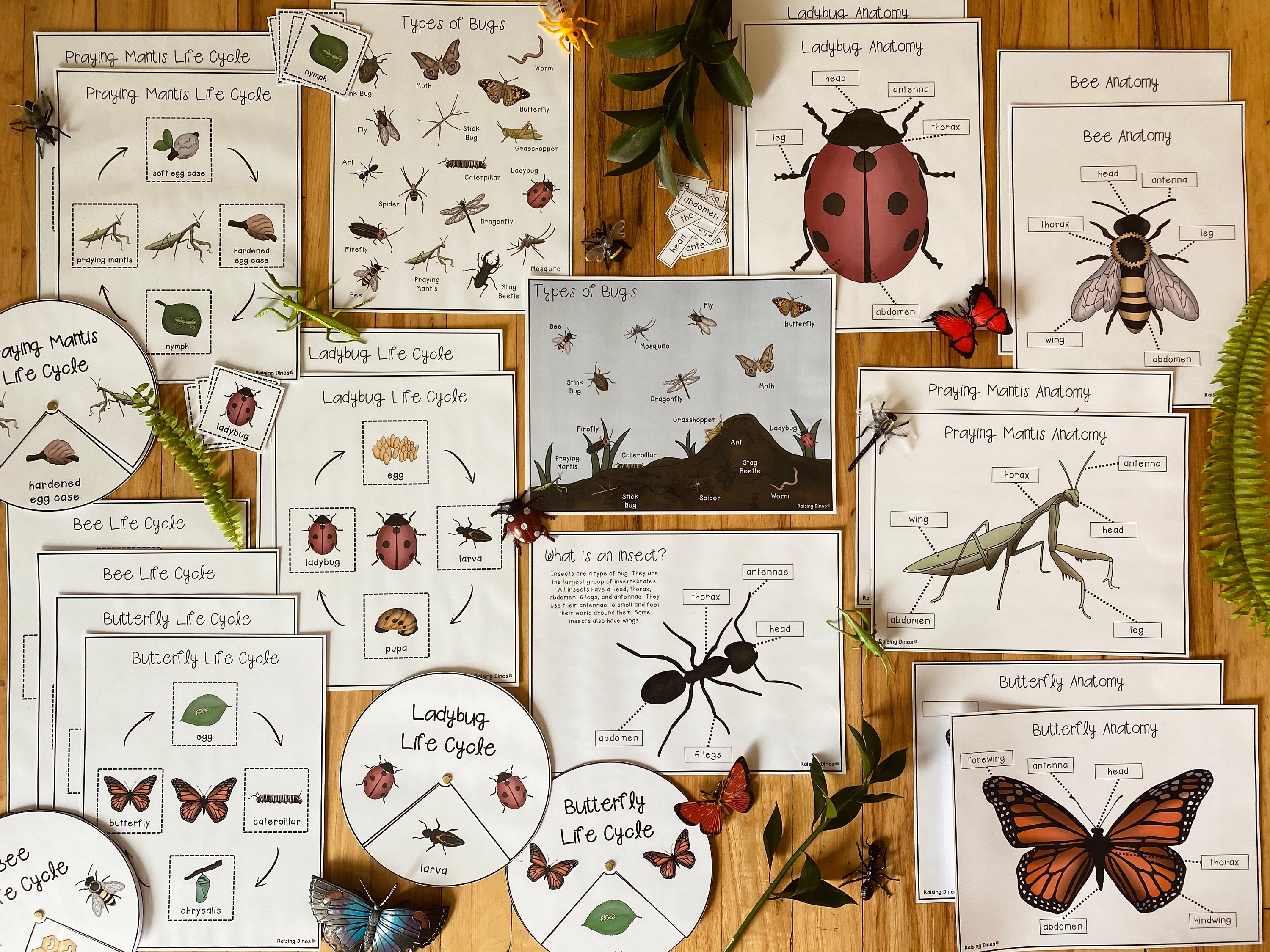 Bug Unit: Science Pack - Etsy