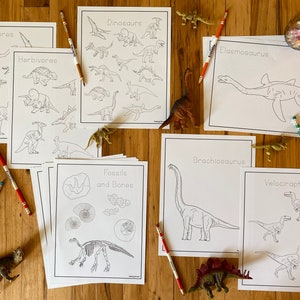 Dinosaur Unit: Science Pack - Etsy