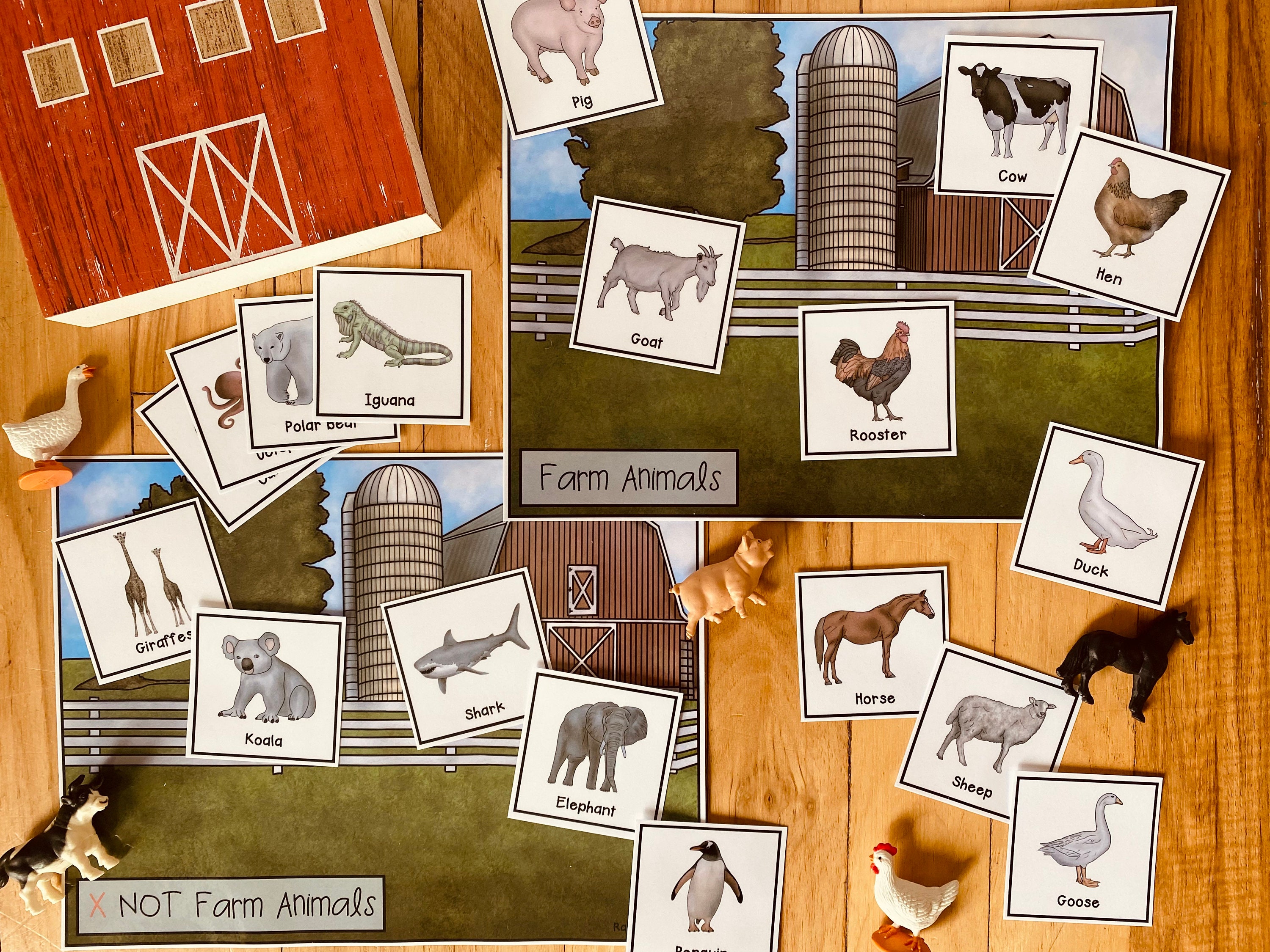 Farm Unit: Science Pack - Etsy