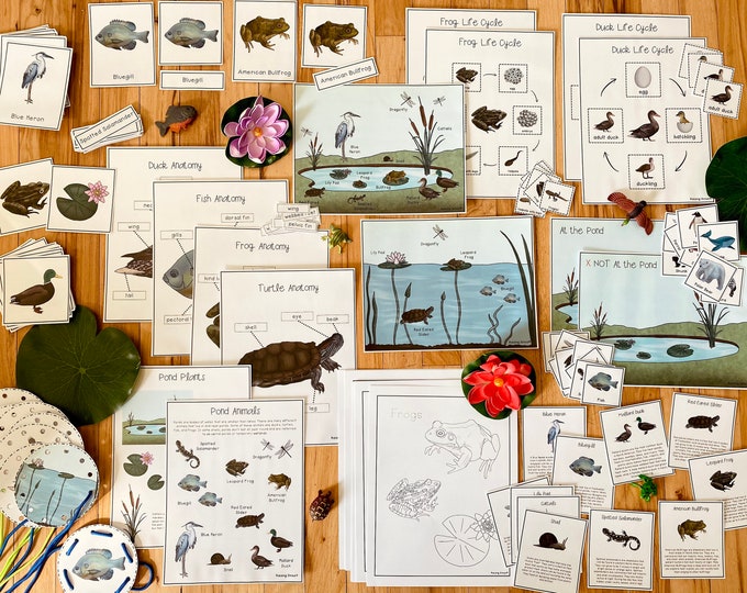 Frog Nature Pack Printable Nature Study Includes 1 Poster, 1 Journal ...