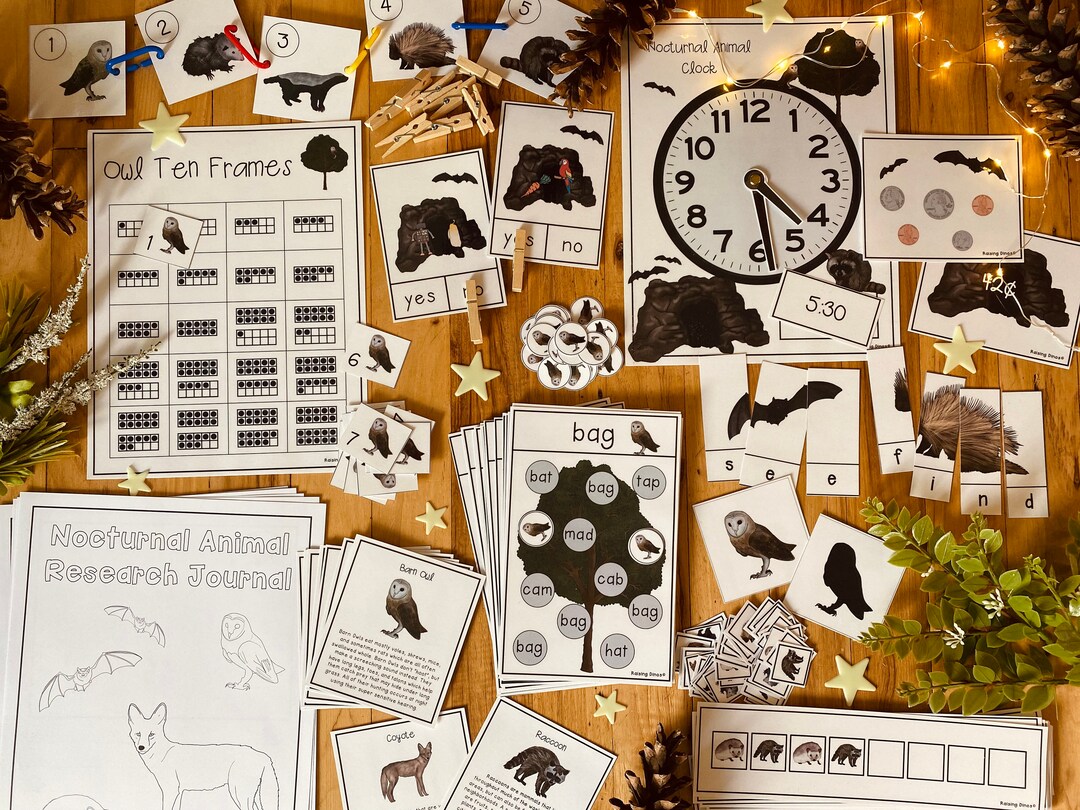 Nocturnal Animals Unit Bundle - Etsy
