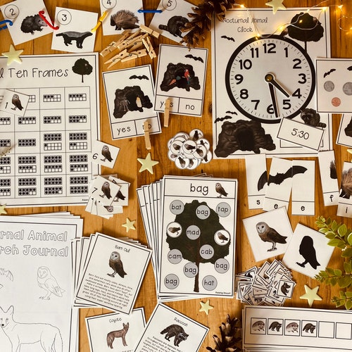 Nocturnal Animals Unit: Science Pack - Etsy