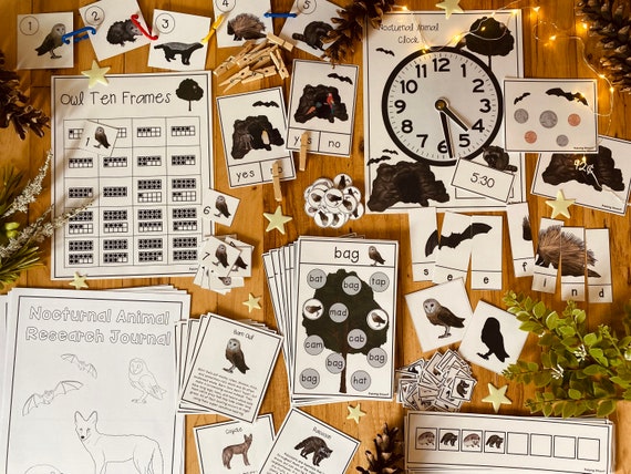 Nocturnal Animals Unit Bundle - Etsy