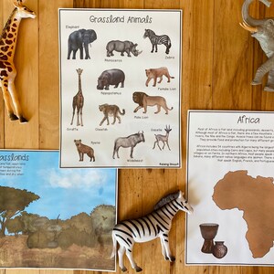 Grassland Animals Unit: Science Pack - Etsy