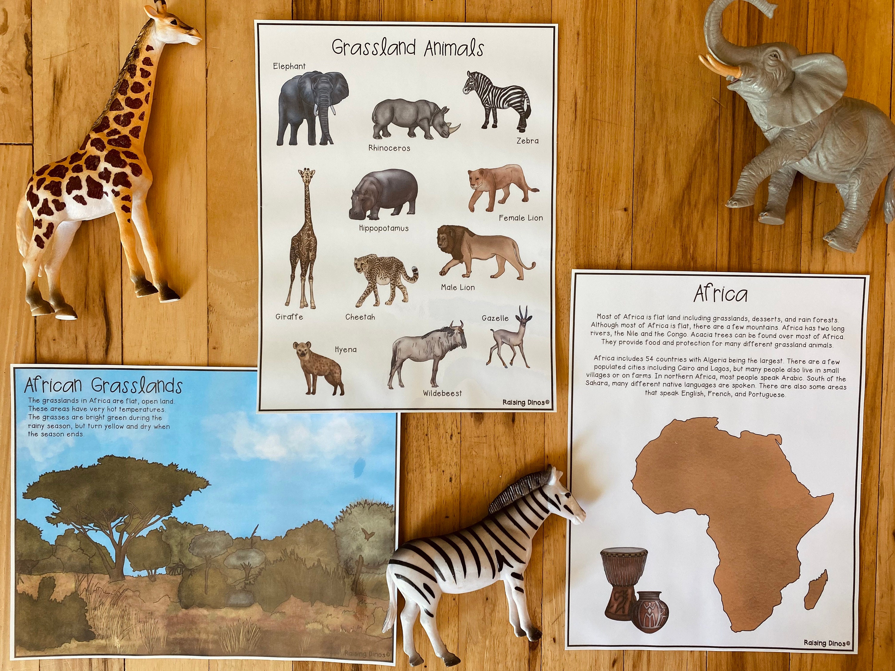 Grassland Animals Unit: Science Pack | Etsy