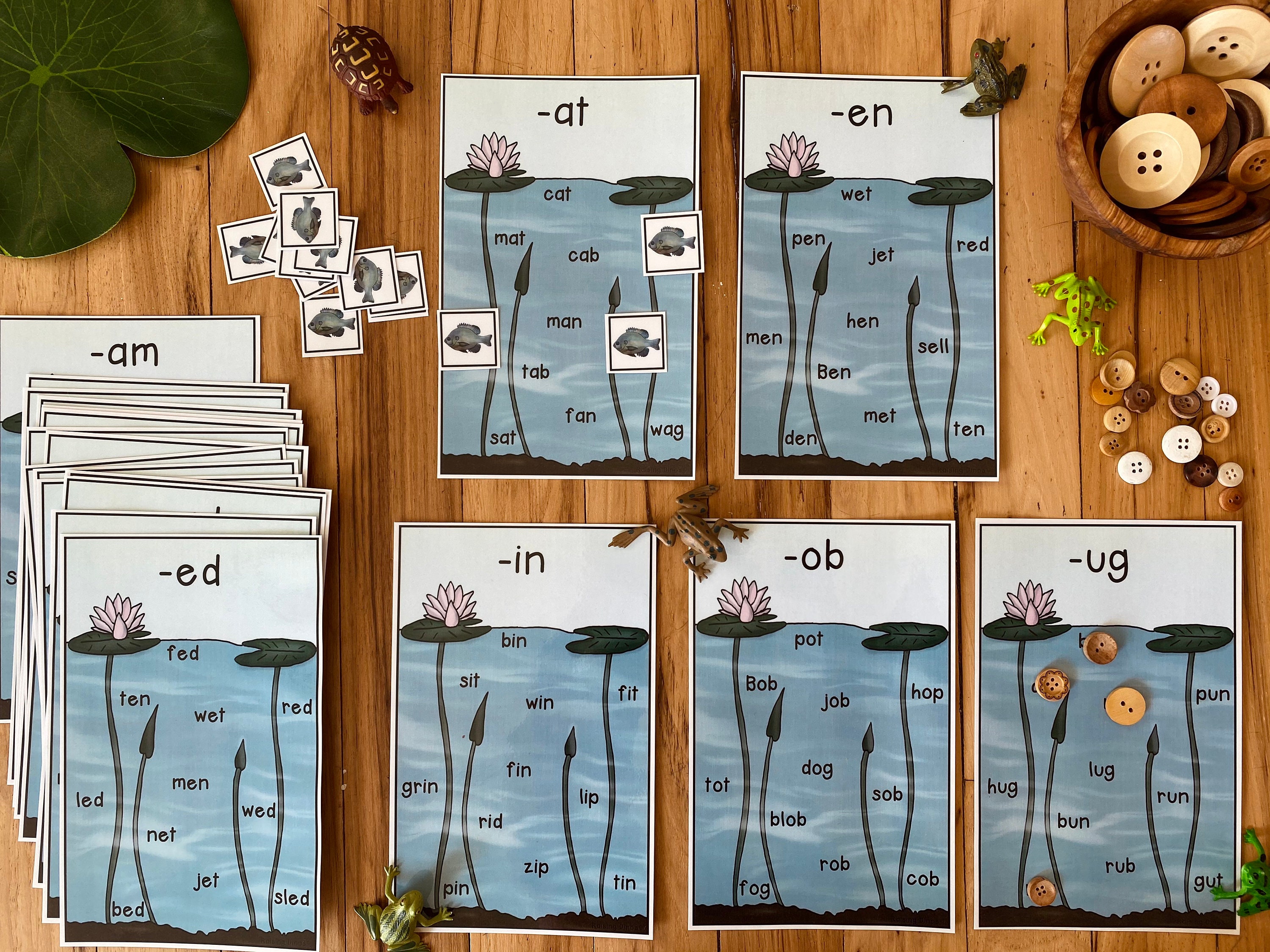 Pond Unit: Literacy Pack | Etsy